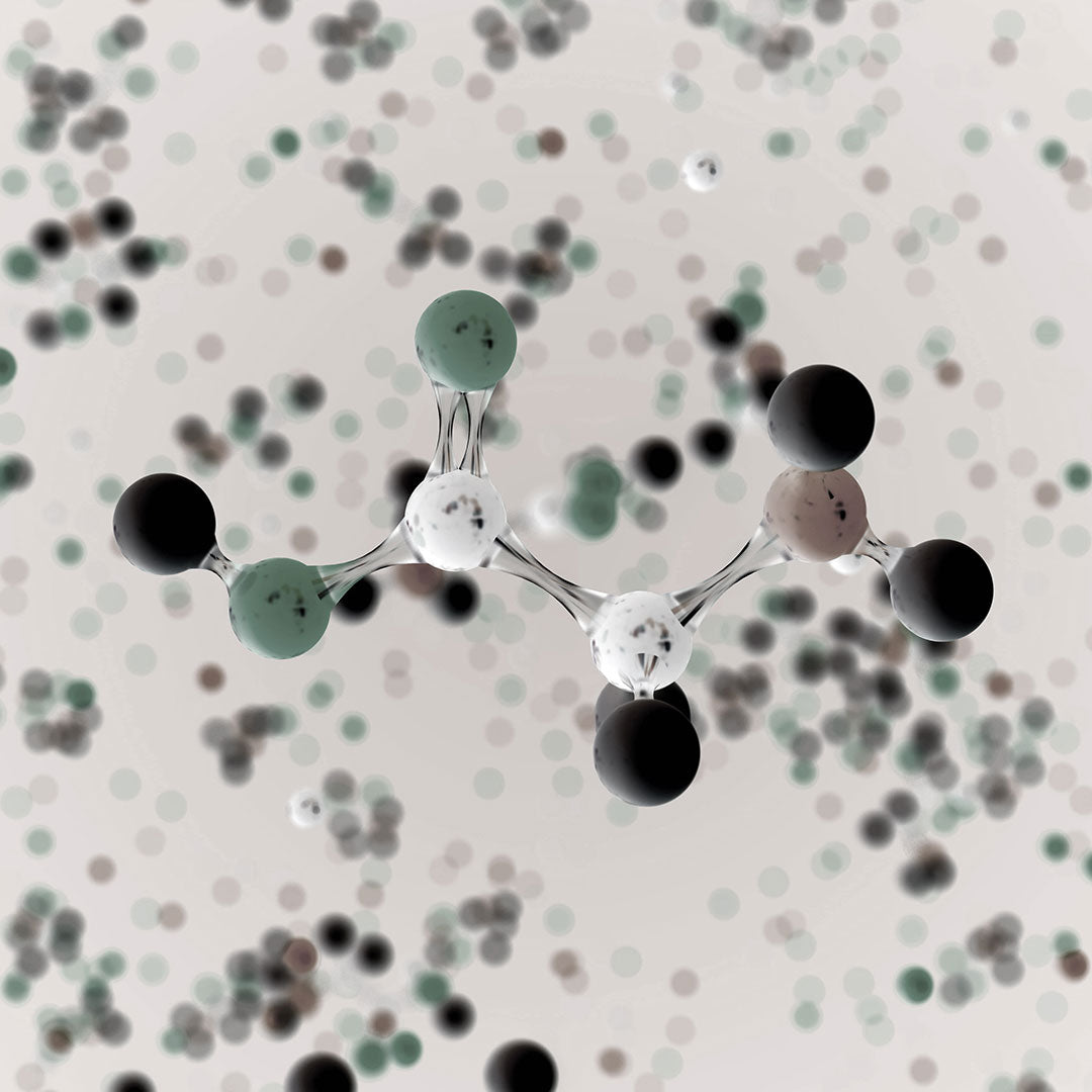 89336751dc0a09a5773adb5e6a95d29c.jpg?v=1678347765