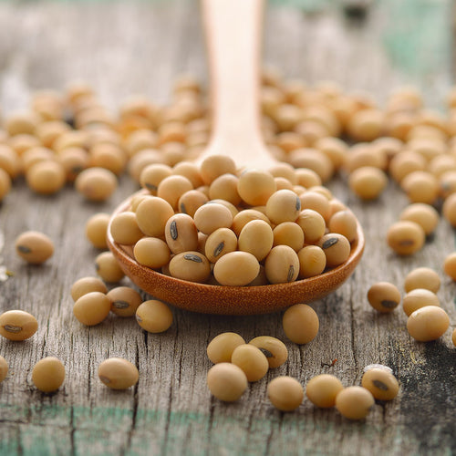 e5b43e8c6ce53397c891debfc24e6dac_520x500_11088dd4-bde5-49c4-baff-1a6b8aaebe2b.jpg?v=1736345462