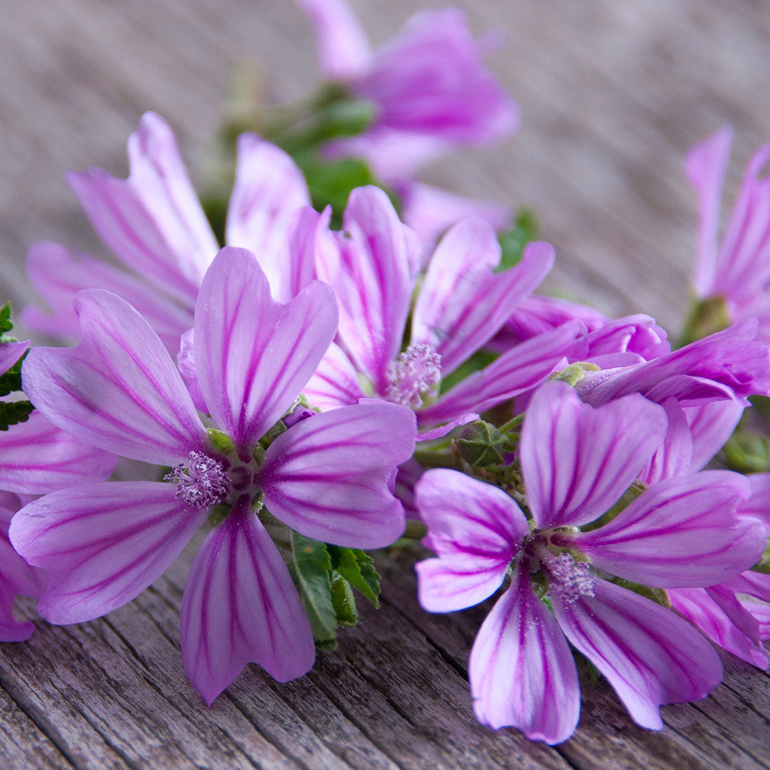 fd28b13832be8a06290eb2de02e87f25_8e087956-e3b2-4511-a645-ed58a2ab5c87 ...