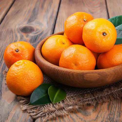 olio-essenziale-di-mandarino_800x_520x500_225ad99f-5eea-4721-92c6 ...